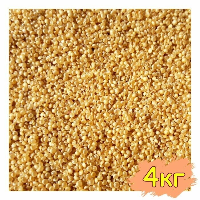 Семена амаранта 4 000 гр, 4 кг, пищевое зерно для проращивания, крупа для варки и заваривания, суперфуд для еды, амарант