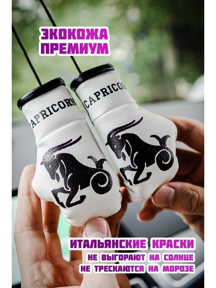 Подарок Козерогу на день рождения CAPRICORN