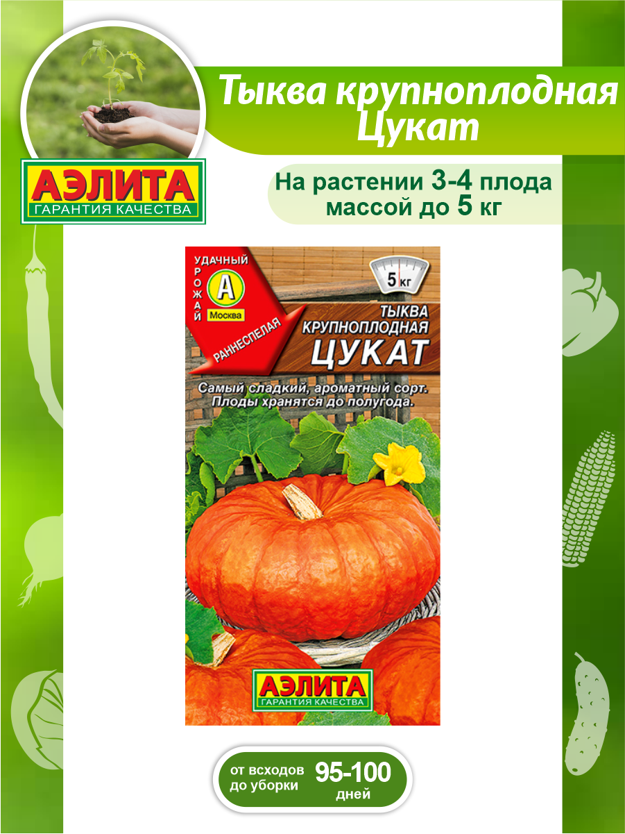 Семена Тыква крупноплодная Цукат 1 гр.