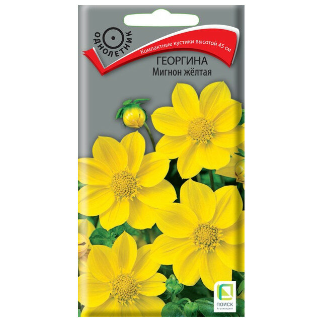 Поиск Георгина Мигнон желтая 0,2г семена для выращивания на клумбах и цветниках