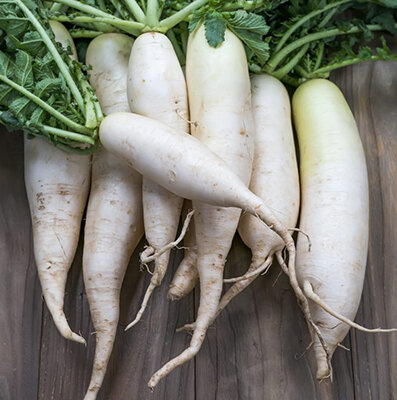 Семена дайкона Миясиге (1 гр.)