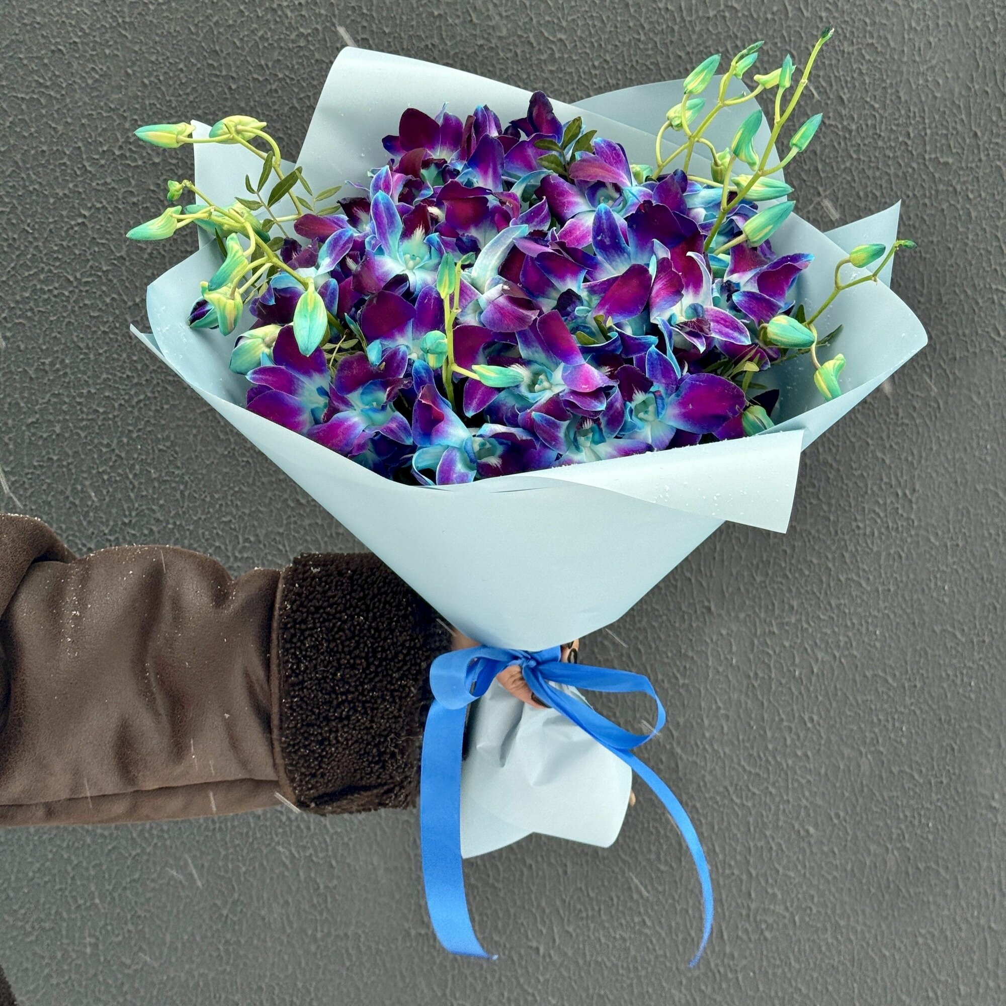 Цветы живые, Монобукет с синей орхидеей "Космический" от Цветы&Со