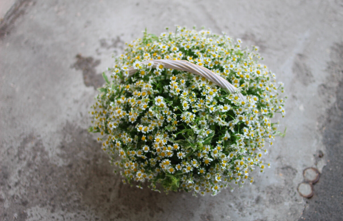 Корзина 51 полевая ромашка