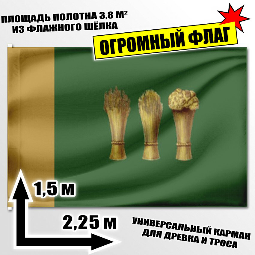 Флаг огромный Пензы 225x150 см
