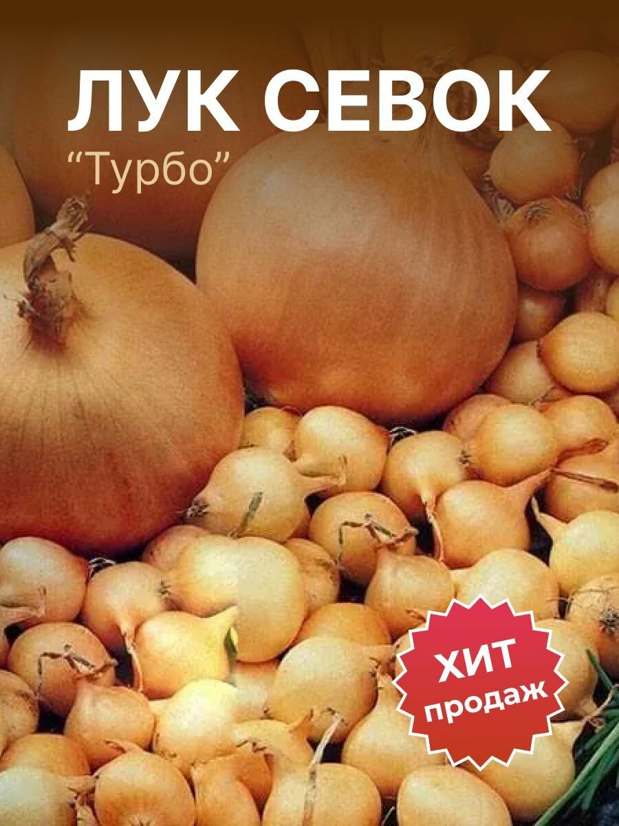 Лук севок на посадку "Турбо"1кг