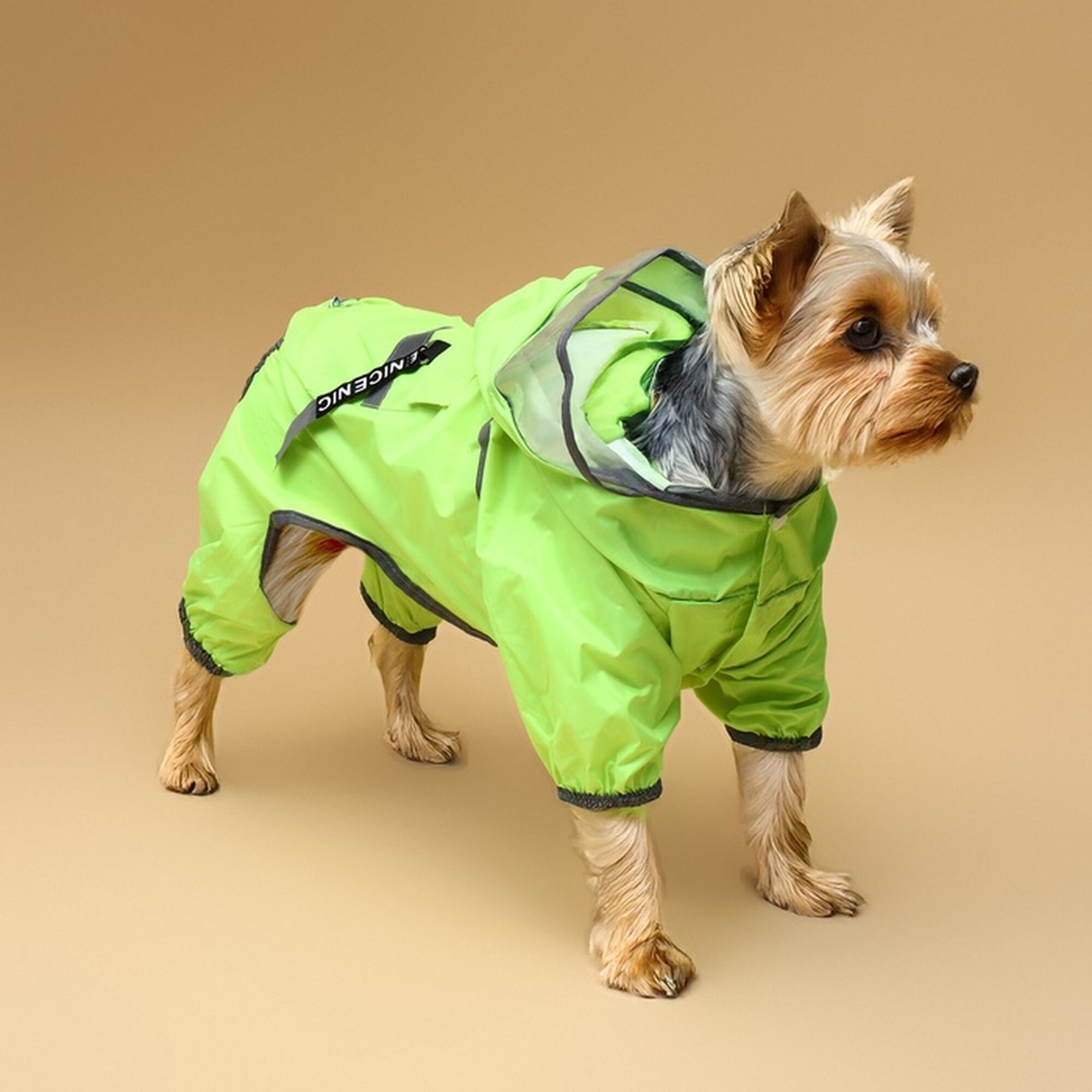 Комбинезон для собак, демисезонный с козырьком, размер ХL (ДС 40, Ог 58, ОШ 43 см), зелёный 985440