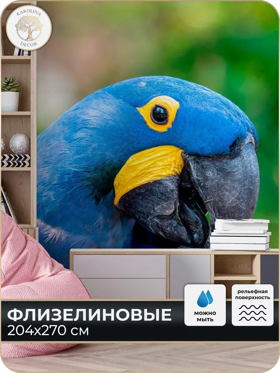 Фотообои Попугай для зала в детскую в спальню 200х270