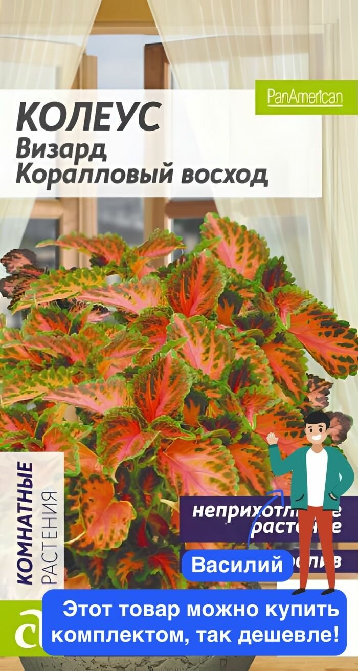 Семена цветов Семена Алтая "Колеус Визард Коралловый Восход", 8 шт.