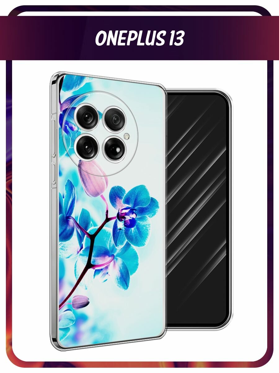 Чехол на OnePlus 13 / Ван Плас 13 с принтом "Голубая орхидея"