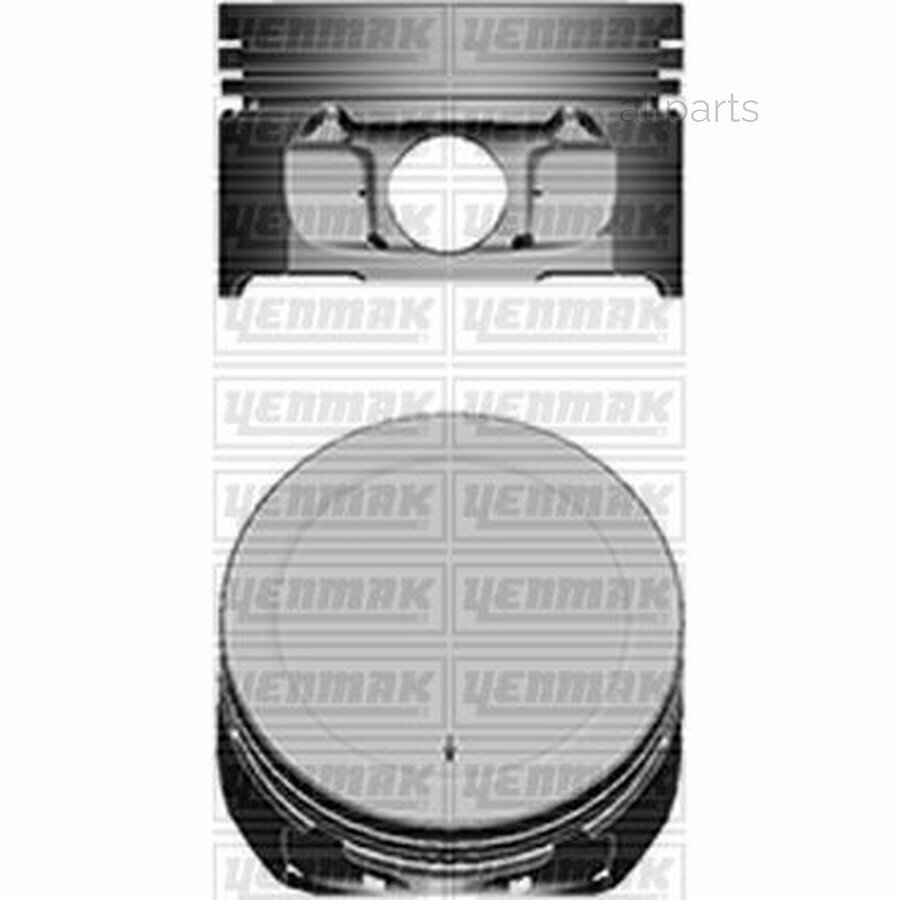 YENMAK 31-04101-025 Поршень ДВС с кольцами CITROEN, PEUGEOT 1.6 16V 00- (=78.75, +0.25)