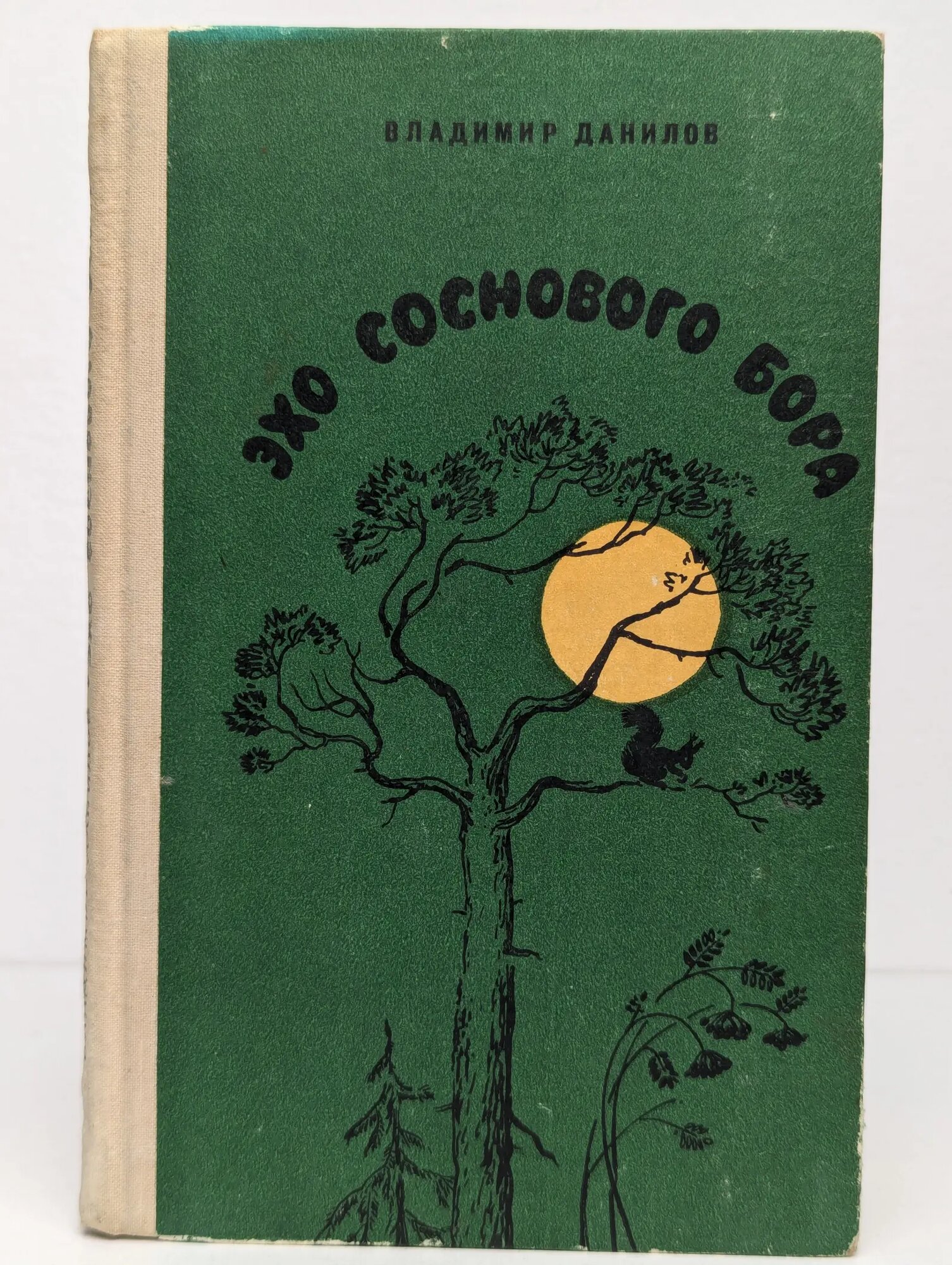 Эхо соснового бора Данилов Владимир Михайлович 1980