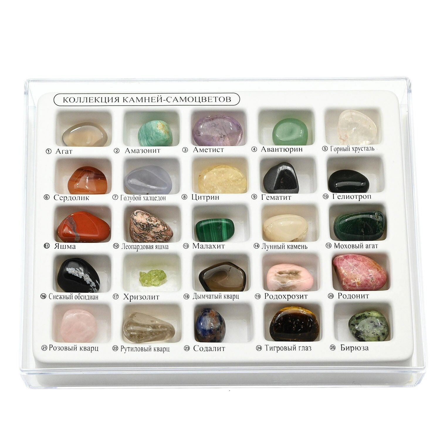 Коллекция минералов 25 самоцветов. в блистерной упаковке, (19-9) .