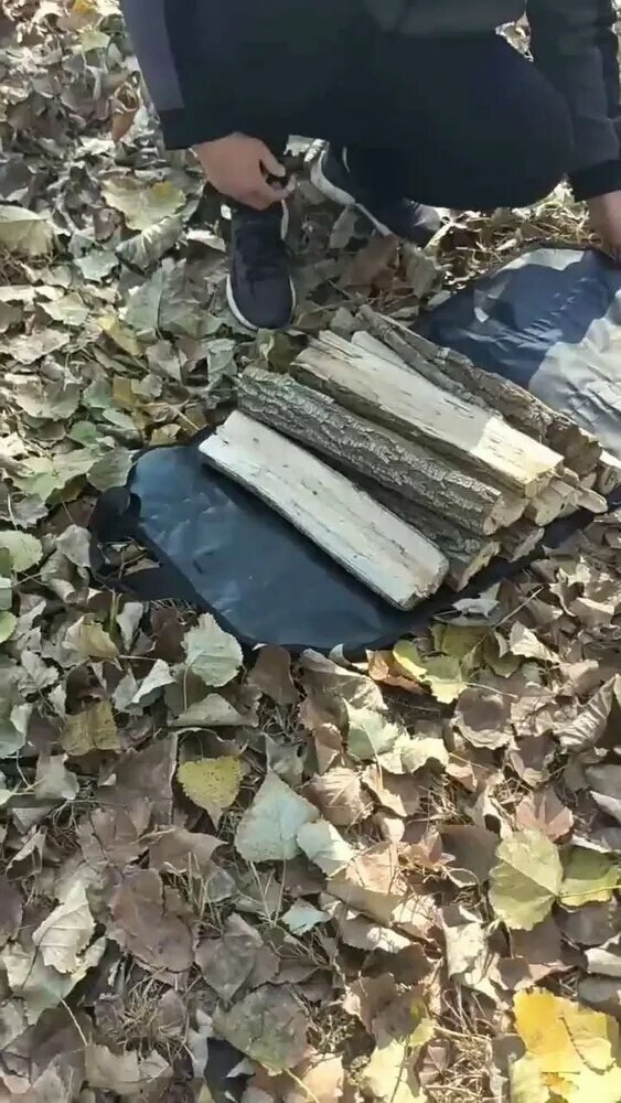 Дровница — фото 1