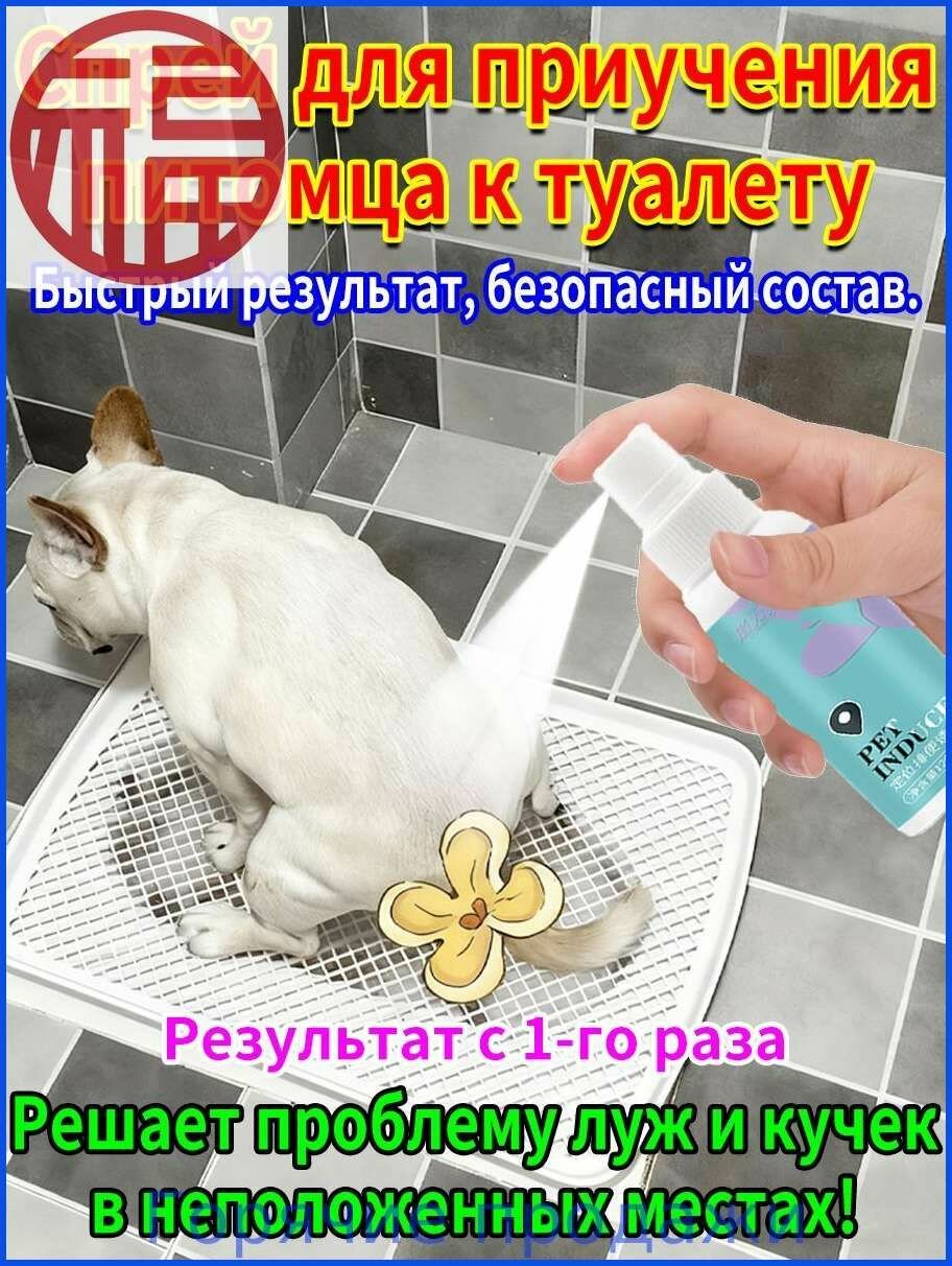 Корректор поведения для животных