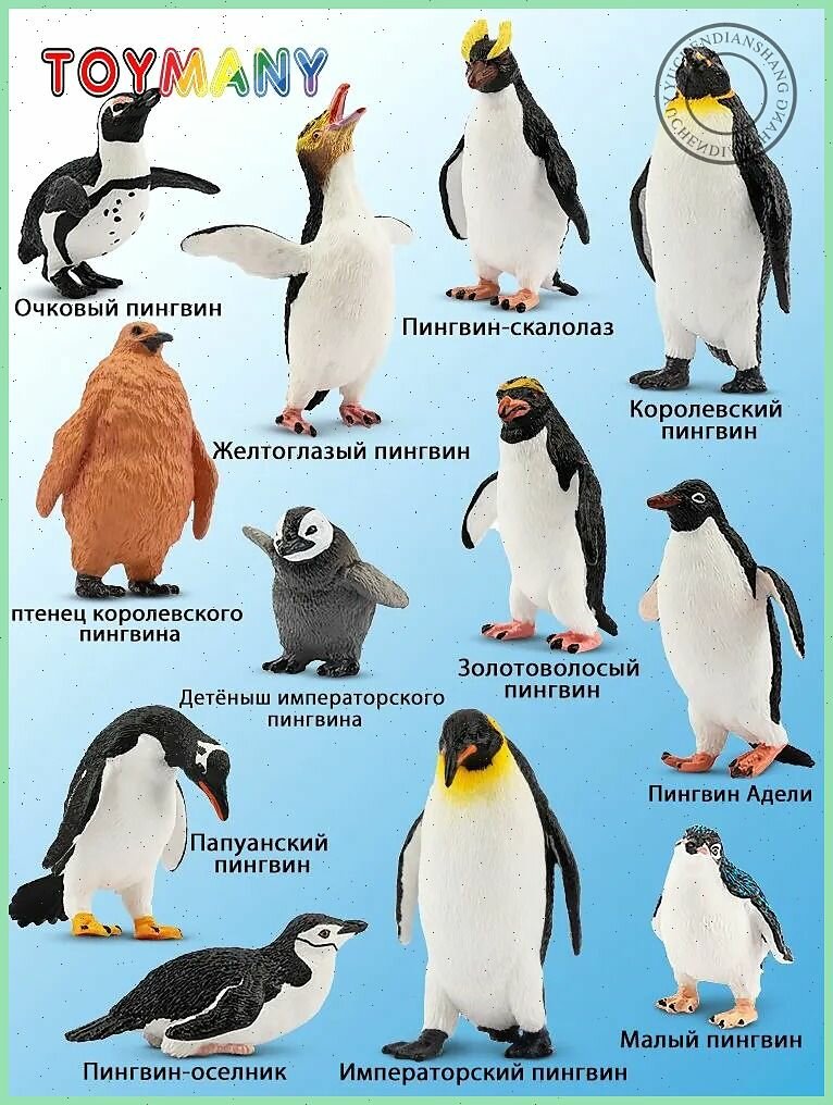 Toymany набор фигурок полярных животных, 12 шт, фигурки пингвинов, игровой набор для детей
