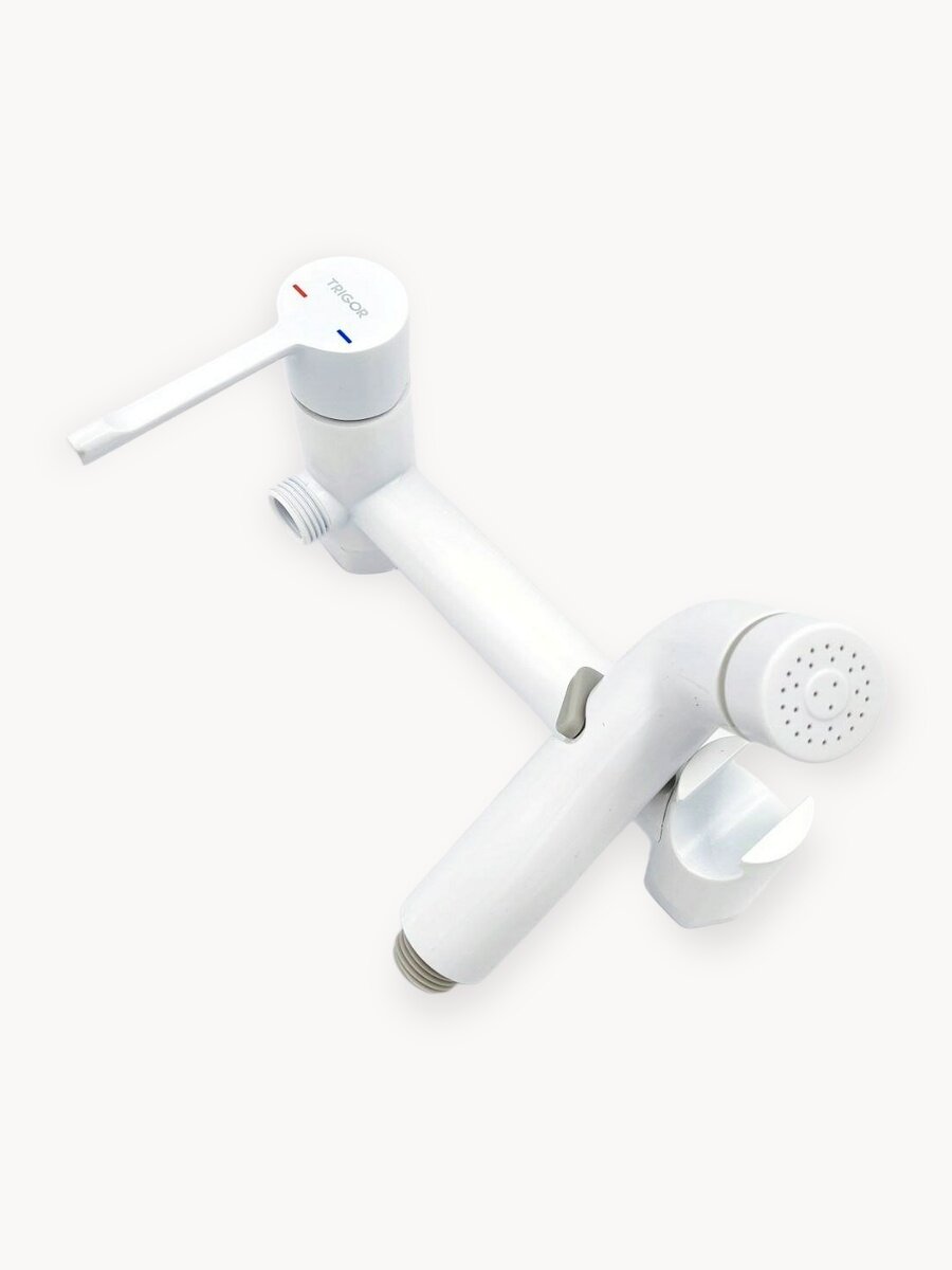 Гигиенический душ со смесителем для унитаза TRIGOR V18-FW-253, цвет: белый