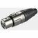 Разъем XLR (Мама) Roxtone RX3FWP-NG