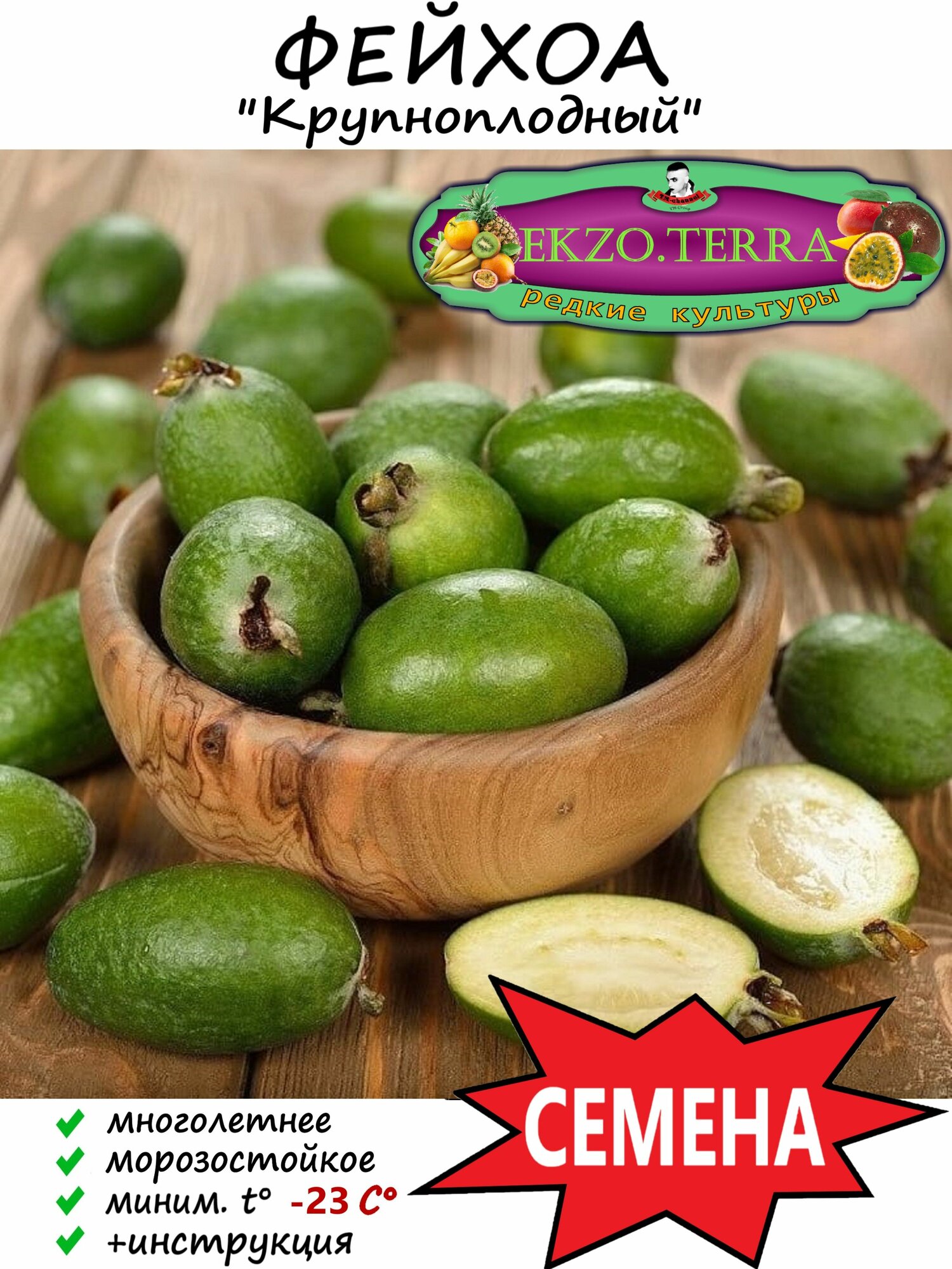 Семена Фейхоа Крупноплодный 5 шт.