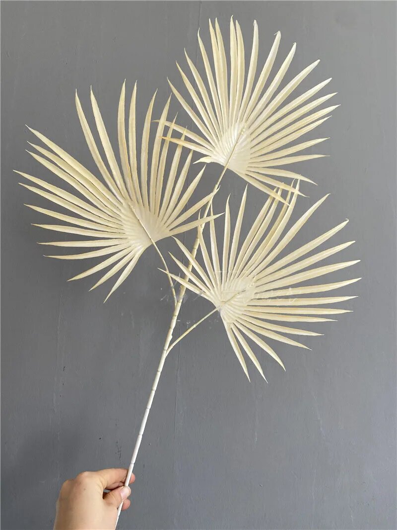 Искусственная пальма HMEOT 3 головки пластиковая зеленая Шампанское