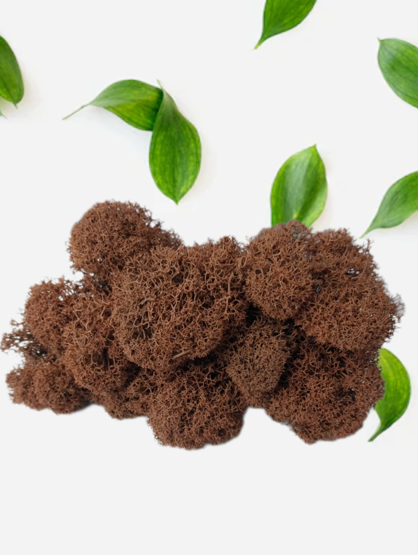 Мох стабилизированный, Коричневый, декор для дома, панно, 100 гр