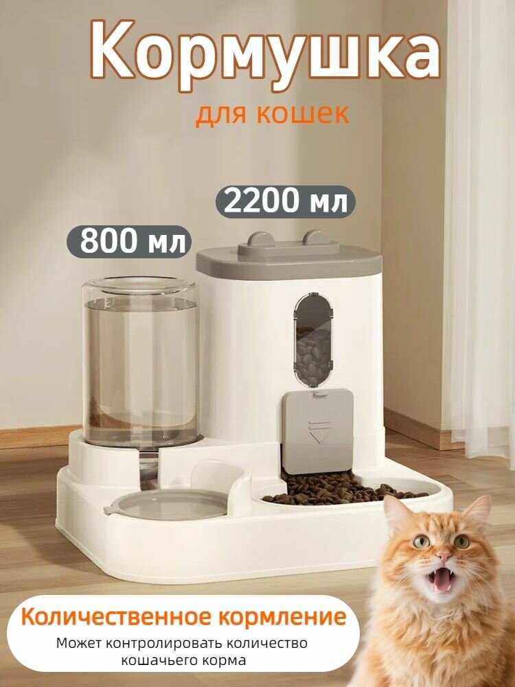 Кормушка для кошек, 3000 мл, большая емкость, для сухого и влажного разделения