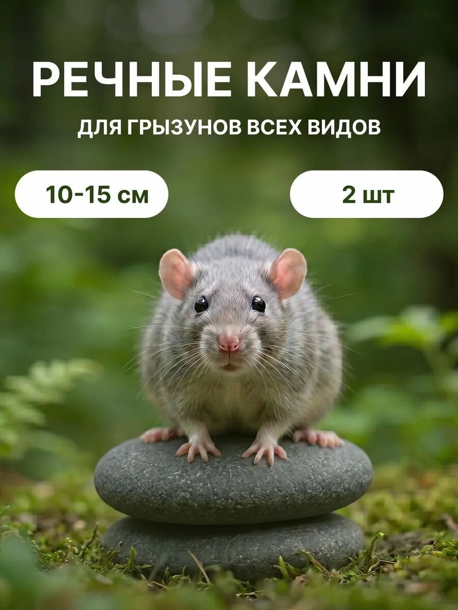Туалетный камень для грызунов