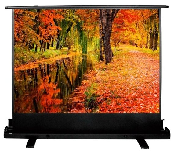 Экран Cactus 150x200см FloorExpert CS-PSFLE-200X150 4:3 напольный рулонный