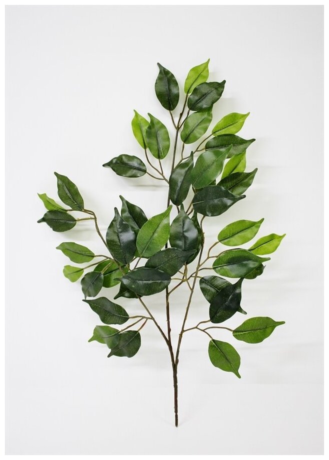 Ветка фикуса Бенджамина искусственная 61 см. (Комплект из 2 шт.), бренд CONEKO - декор для дома и офиса