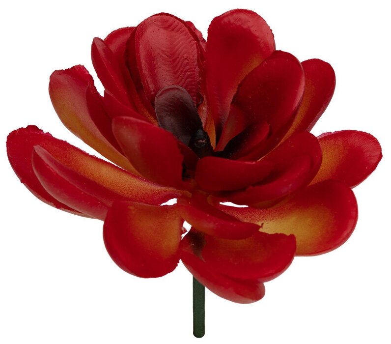 Blumentag ASU-10 Декоративные элементы суккулентов 7 x 7 см, 1 шт, акцент интерьера