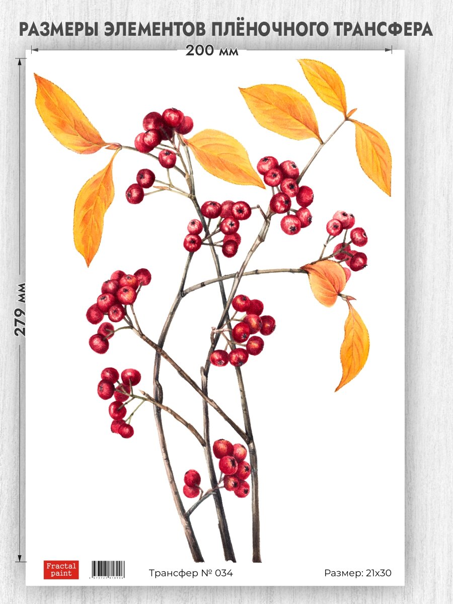 Трансфер для декупажа переводной рисунок для поверхностей 034 (А4)