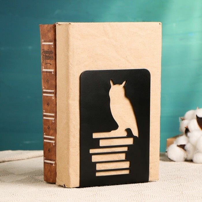 Ограничитель-подставка для книг набор 'Сова на книгах' черный