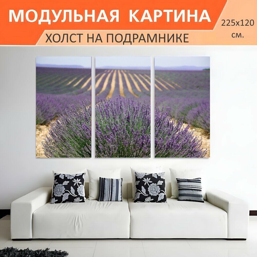 Модульная картина на холсте "Прованс, валенсол, лаванда" триптих на подрамнике 225х120 см. для интерьера