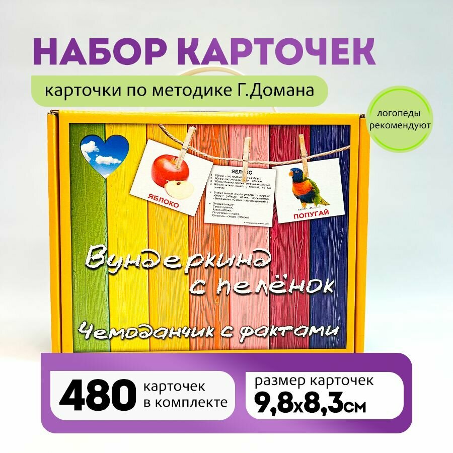 Подарочный набор Чемоданчик с фактами по методике Г. Домана