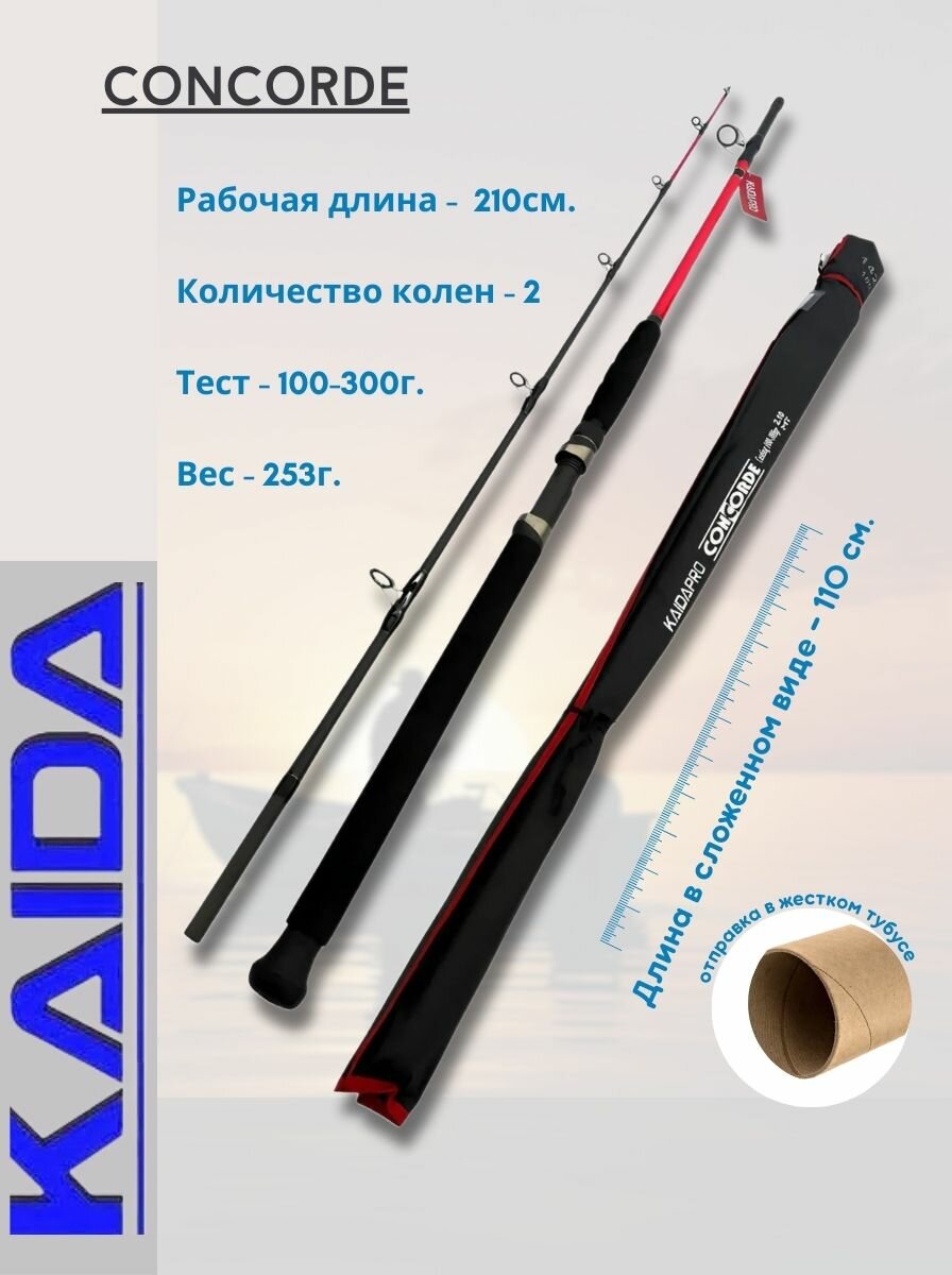 KAIDA Спиннинг для рыбалки CONCORDE 2,1 м. C.W. 100-300g
