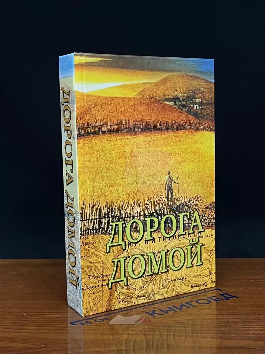 Книга. Дорога домой 2011 (2040770897538)
