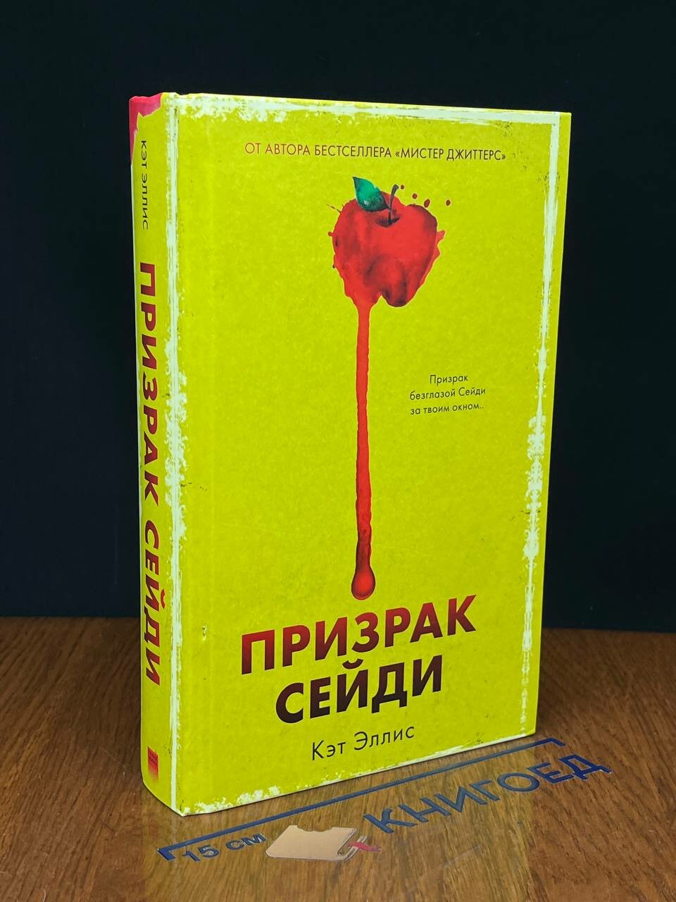 Книга. Призрак Сейди 2022 (2041383920279)