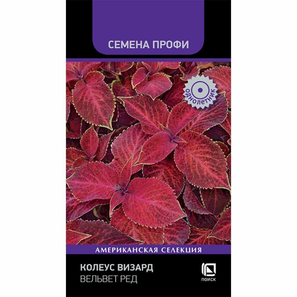 Колеус Визард Вельвет ред