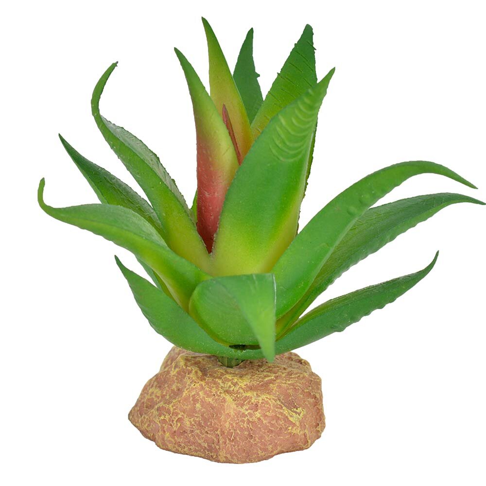 Растение пластиковое Gloxy Гусмания, 9х7х8 см