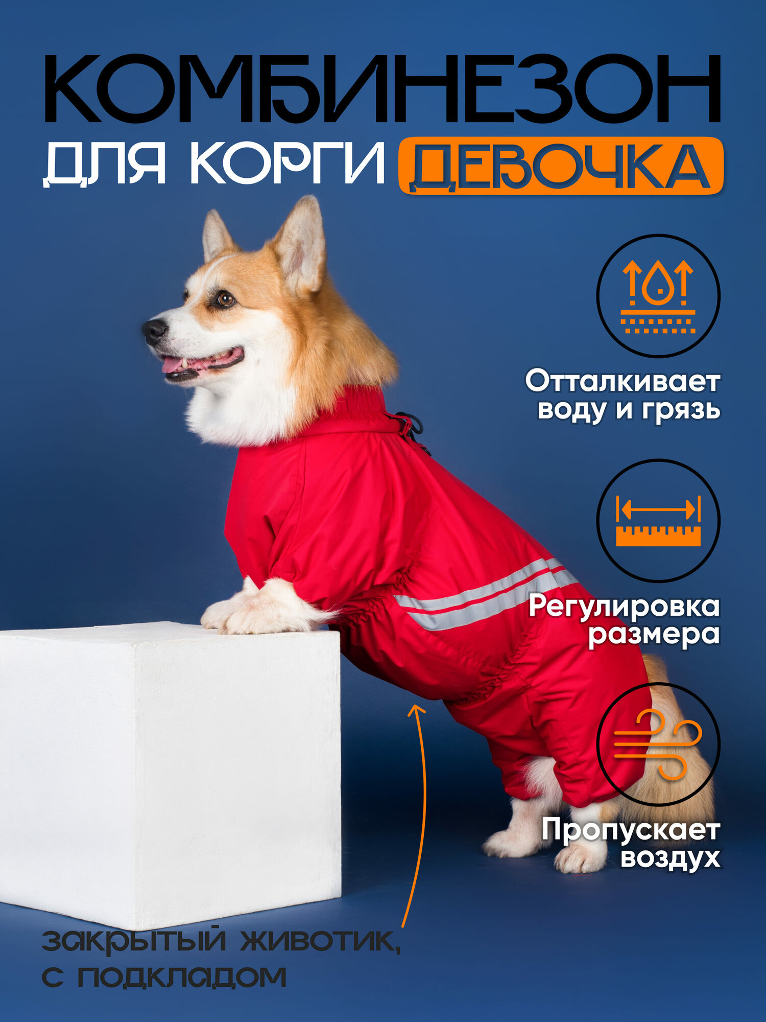 Грязезащитный комбинезон DiploDog для Корги (девочка), Одежда для Корги (девочка)