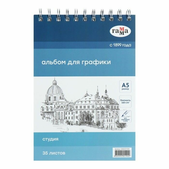Альбом для графики Гамма "Студия" А5, 35 листов, 160 г/м2, на гребне (50S02S735W)