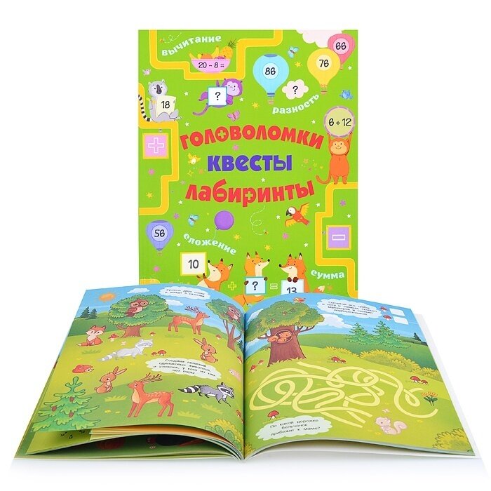 Книга с заданиями АСТ Головоломки, квесты, лабиринты (9785171337698)