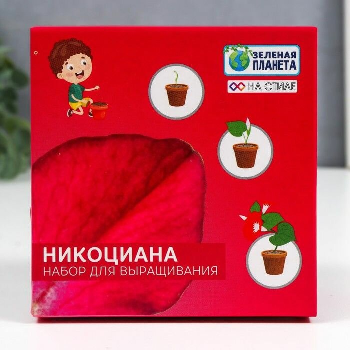 Набор для выращивания растения Sima-land "Никоциана", подарочный, с глиняным горшочком