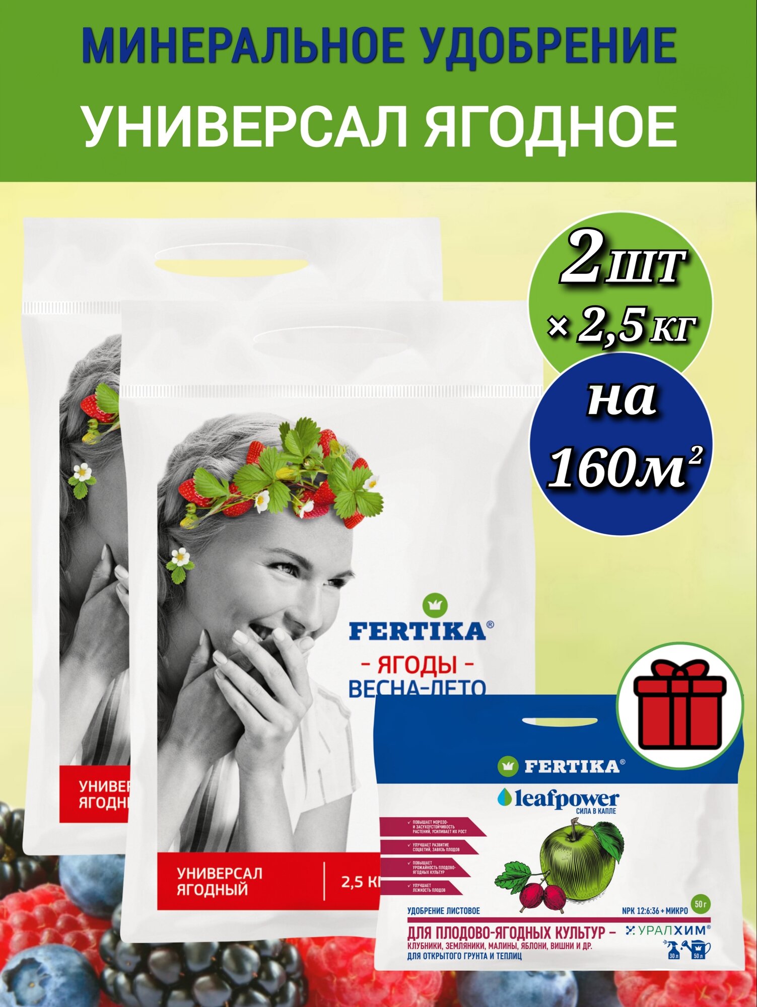 Удобрение Фертика Универсальное для ягод (ягодное Весна-Лето)2,5кг, 2 шт