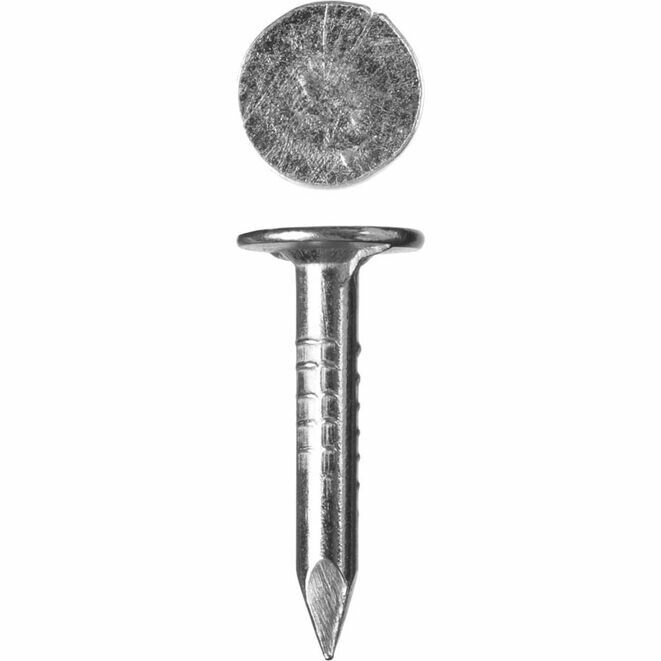 Гвозди с большой потайной головкой Мастер, ЗУБР 20 х 3 мм, 5 кг