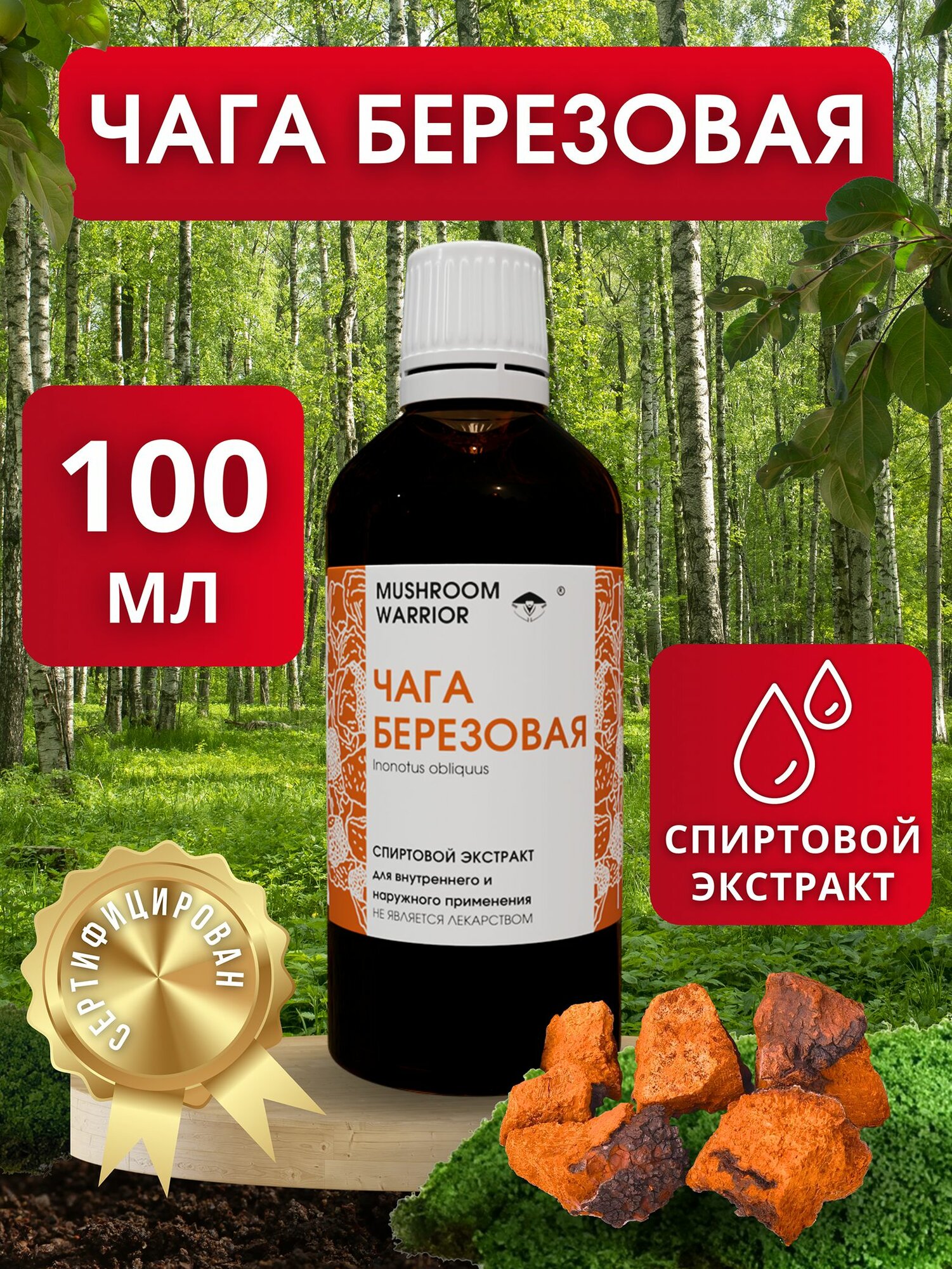 Чага Березовая 100мл спиртовой экстракт, настойка, для ЖКТ, Mushroom Warrior, комплексная пищевая добавка