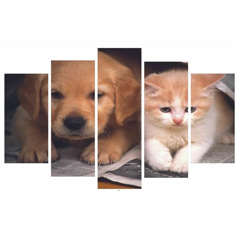 Modul007 Модульная картина из 5 модулей "Котёнок и щенок" 140х80 см для гостиной для спальни для комнаты для интерьера