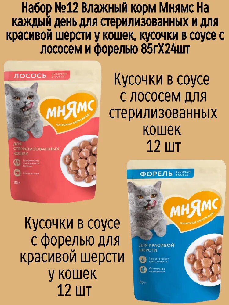 Набор №12 Влажный корм Мнямс для стерилизованных кошек, кусочки в соусе с лососем и форелью, 24 шт х 85 гр