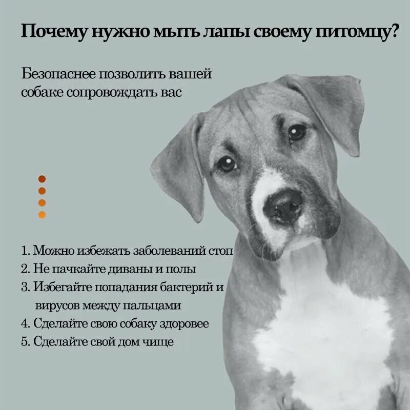 Лапомойка для собак и кошек переносная / Лапомойкадлягруминг и уход за лапами