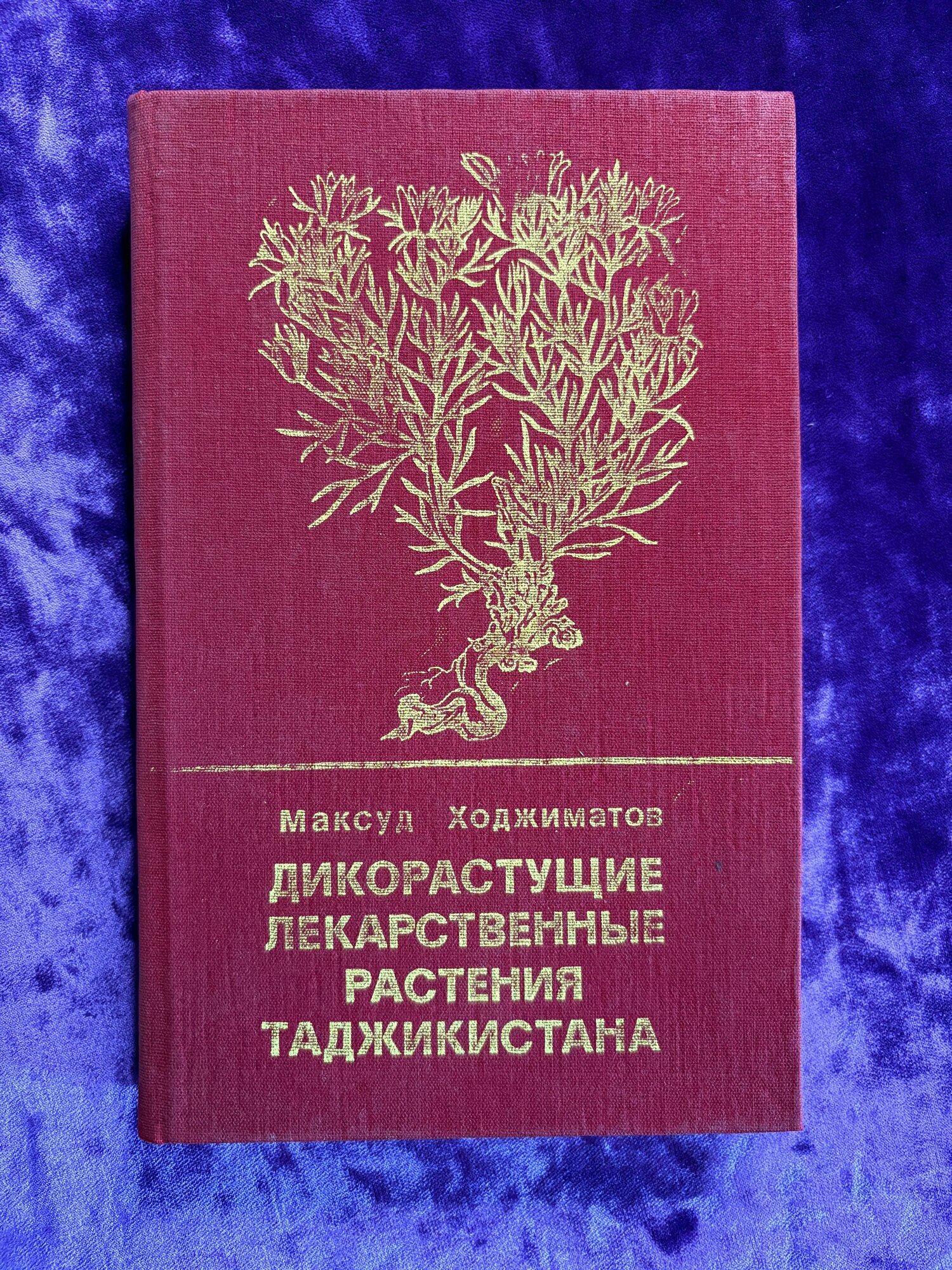 Дикорастущие лекарственные растения Таджикистана