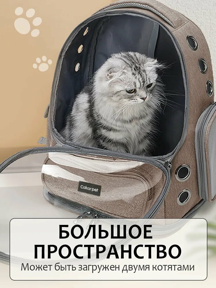 Переноска — фото 1